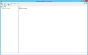 Wyse Device Manager (WDM) Simple install and configure for ThinOS ...